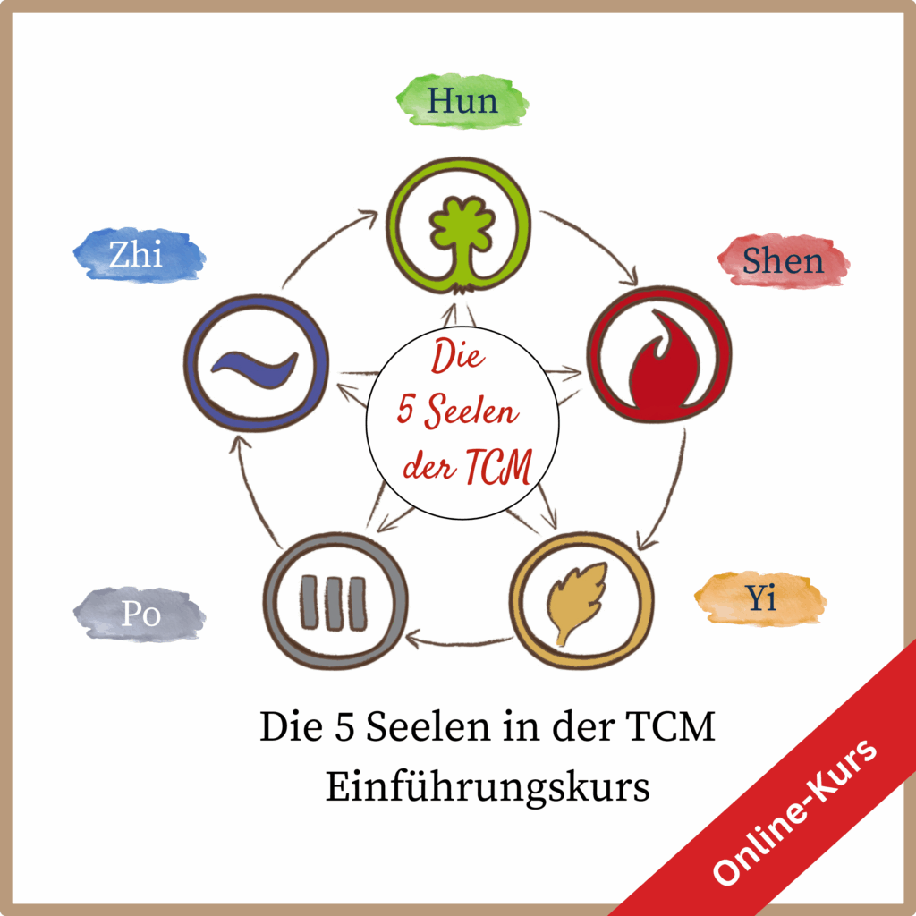 Online-Kurse und Angebote der TCM-Online-Schule – Meine Elemente